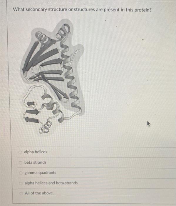 Solved What secondary structure or structures are present in | Chegg.com