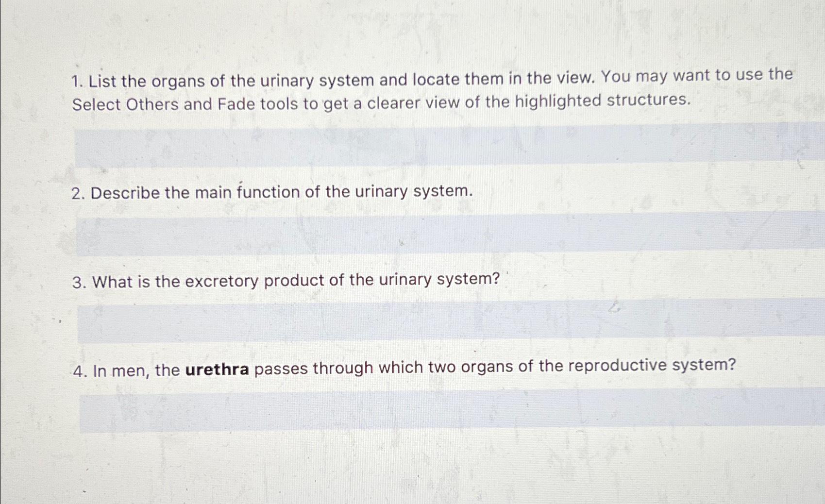 List the organs of the urinary system and locate them | Chegg.com