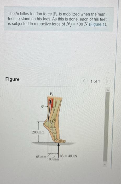 Solved The Achilles tendon force Ft is mobilized when the | Chegg.com