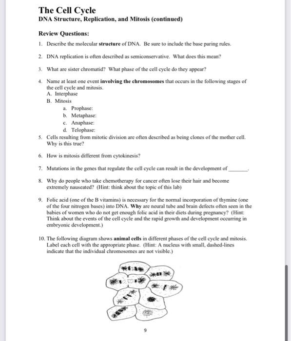 Solved The Cell Cycle DNA Structure, Replication, and | Chegg.com