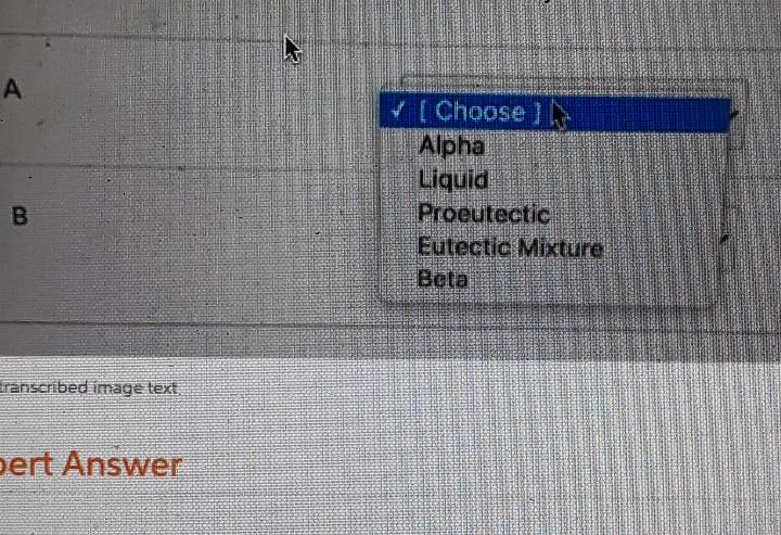 Solved ५ A [ Choose the Alpha Liquid Proeutectic | Chegg.com