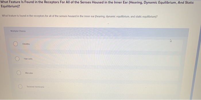 Solved What Feature is Found in the Receptors For All of the | Chegg.com