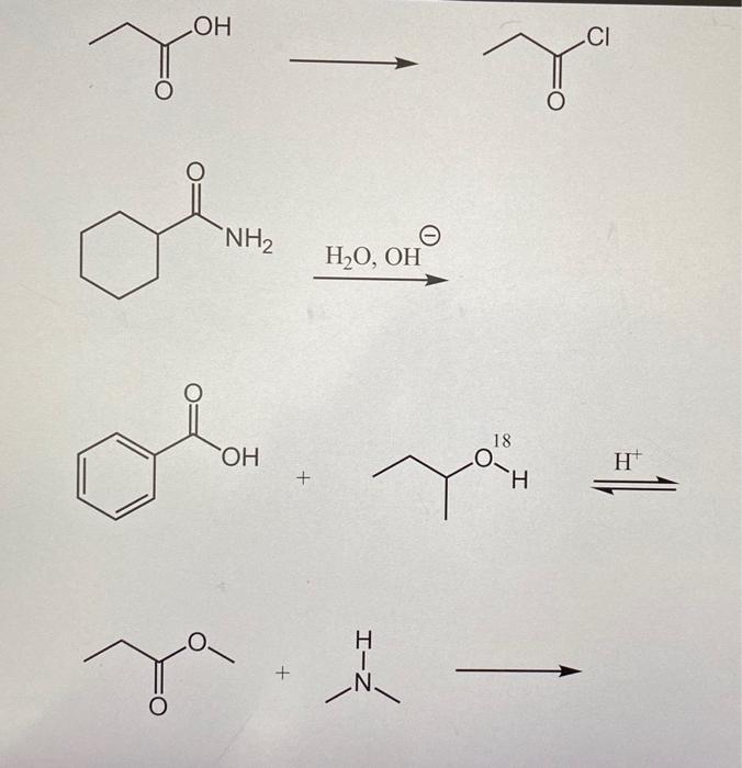 Solved H2O,OH⊖ ⇌H+ | Chegg.com