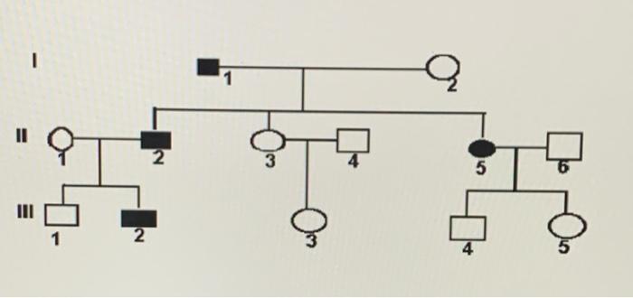 Solved At the following pedigree, the symbols of dark color | Chegg.com