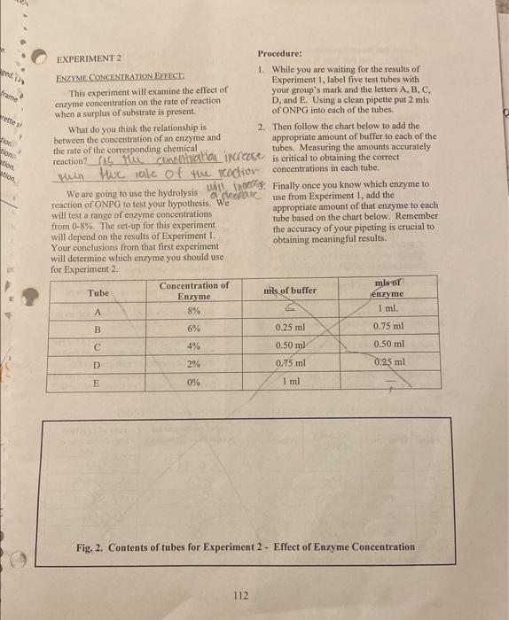 Solved EXPERIMENT I (3) Staich stach twater glucose t | Chegg.com