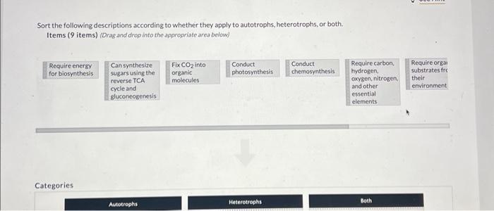 Solved Sort the following descriptions according to whether | Chegg.com