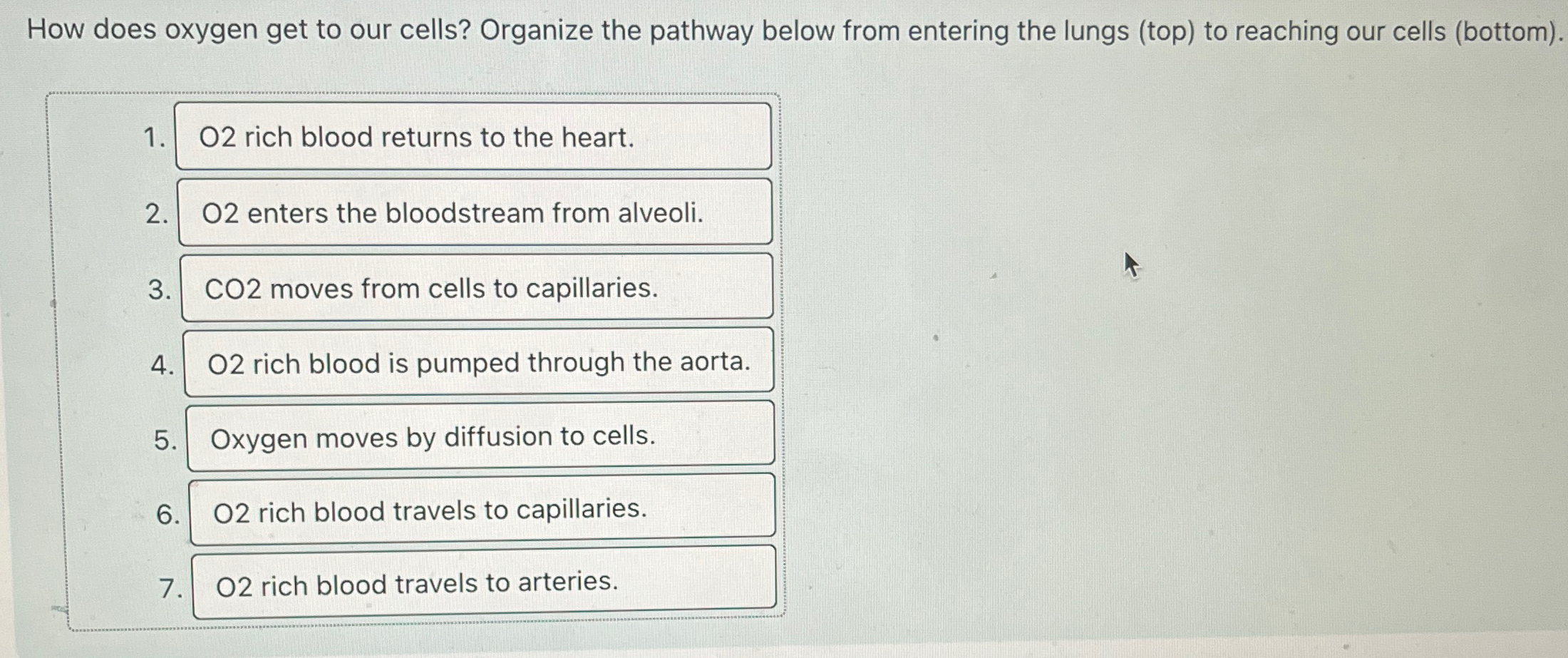 Solved How does oxygen get to our cells? Organize the | Chegg.com
