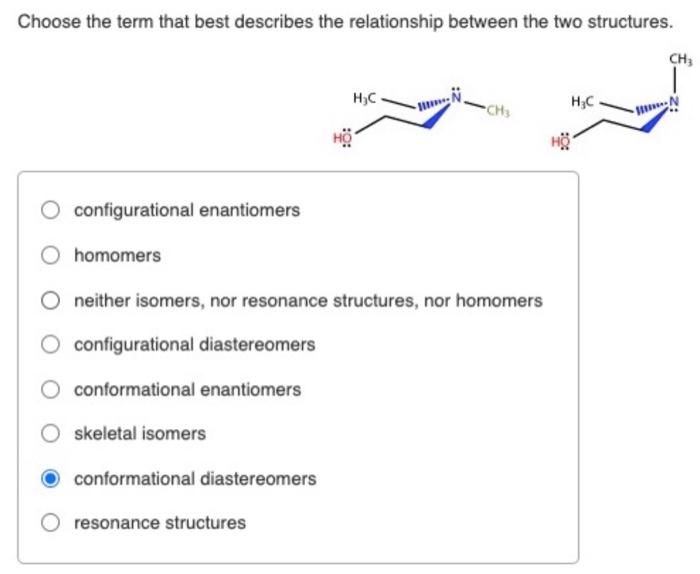 Solved Choose the term that best describes the relationship | Chegg.com