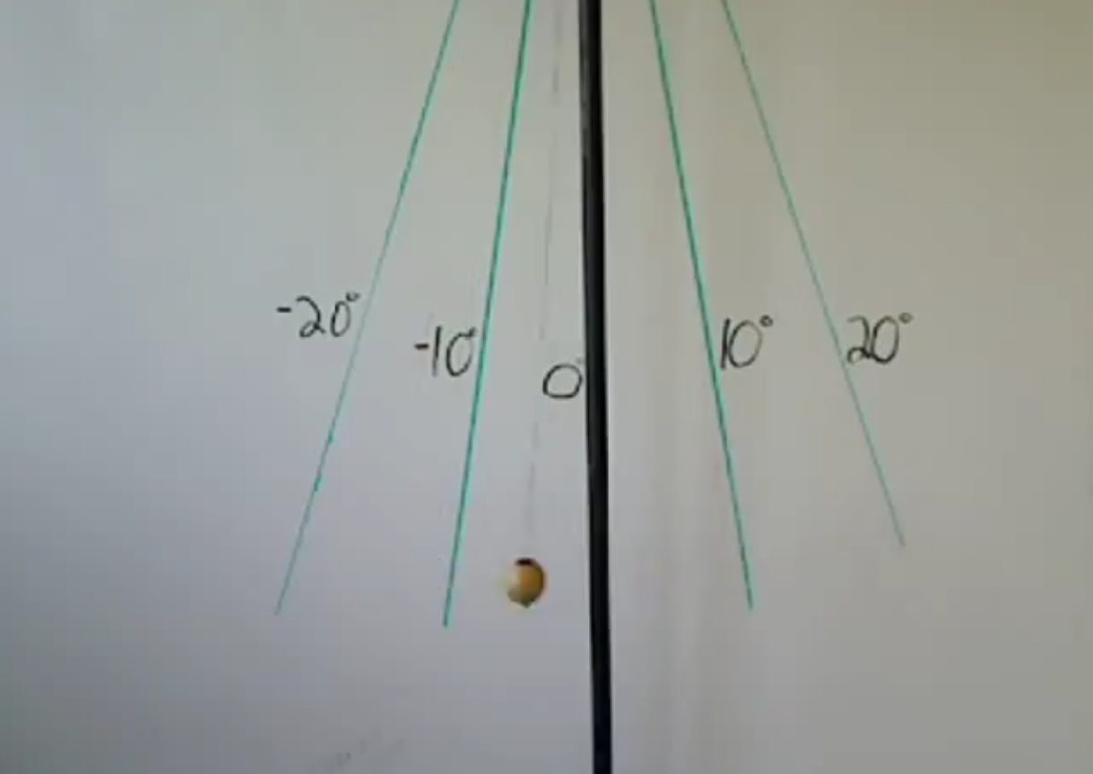 Watch the pendulum video (see attached picture, it | Chegg.com