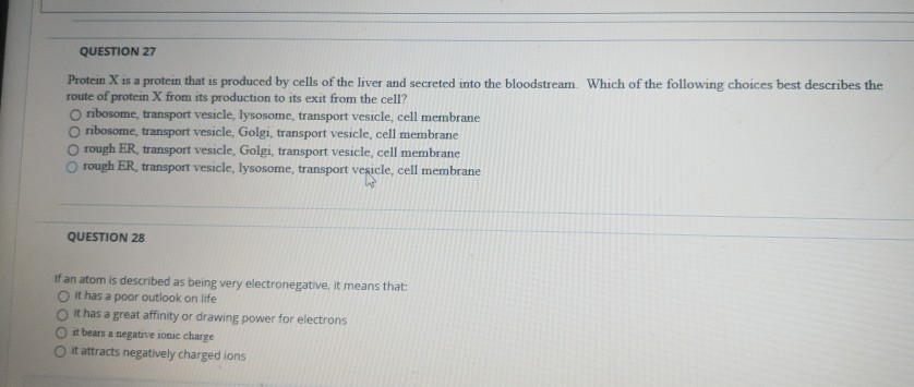 Solved QUESTION 33 Smooth endoplasmic reticulum helps | Chegg.com
