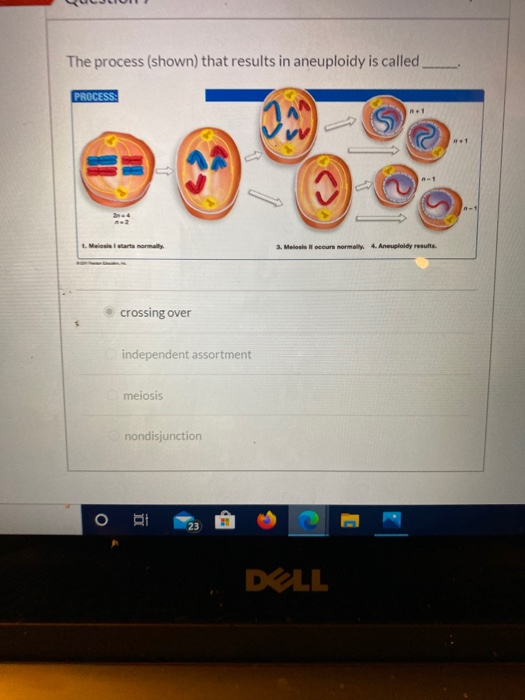 Solved The process (shown) that results in aneuploidy is | Chegg.com