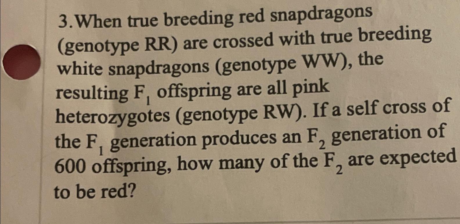 Solved When true breeding red snapdragons (genotype RR) ﻿are | Chegg.com