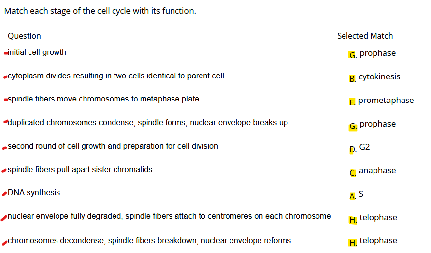 Solved Match each stage of the cell cycle with its function: | Chegg.com