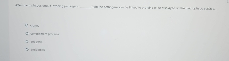 Solved After macrophages engulf invading pathogens, ﻿from | Chegg.com