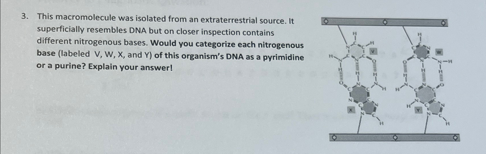 Solved This macromolecule was isolated from an | Chegg.com