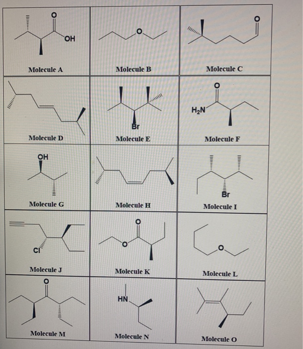 Solved OH Molecule A Molecule C | HANY Molecule D Molecule E | Chegg.com