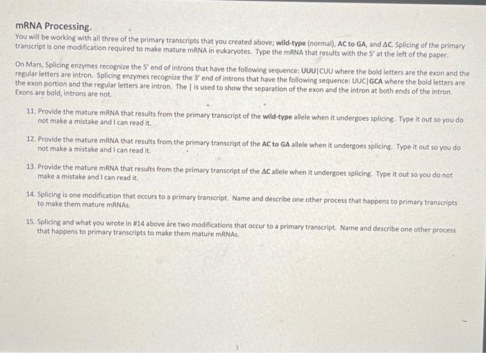 Solved Assignment 19 - Transcription and Translation This is | Chegg.com