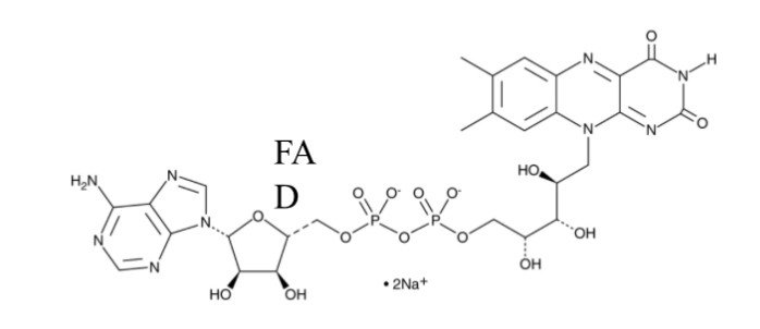 Solved Circle the reactive center for FAD | Chegg.com