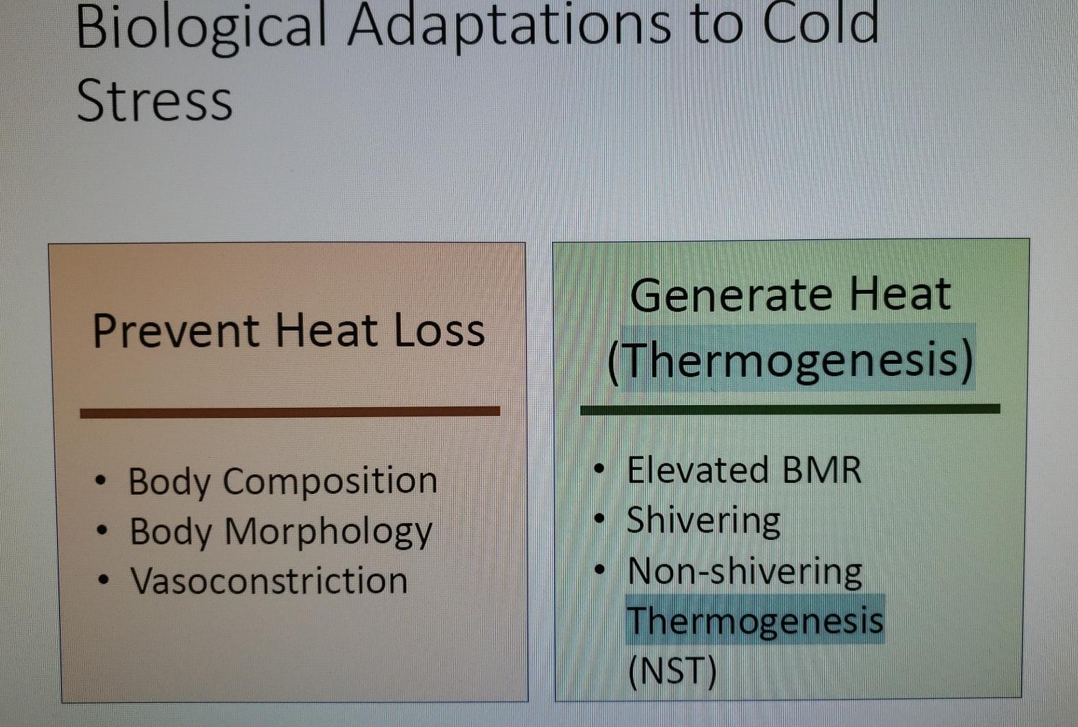Solved Which of the following is not involved in | Chegg.com