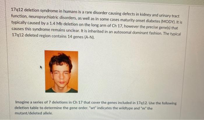 17q12 deletion syndrome in humans is a rare disorder | Chegg.com