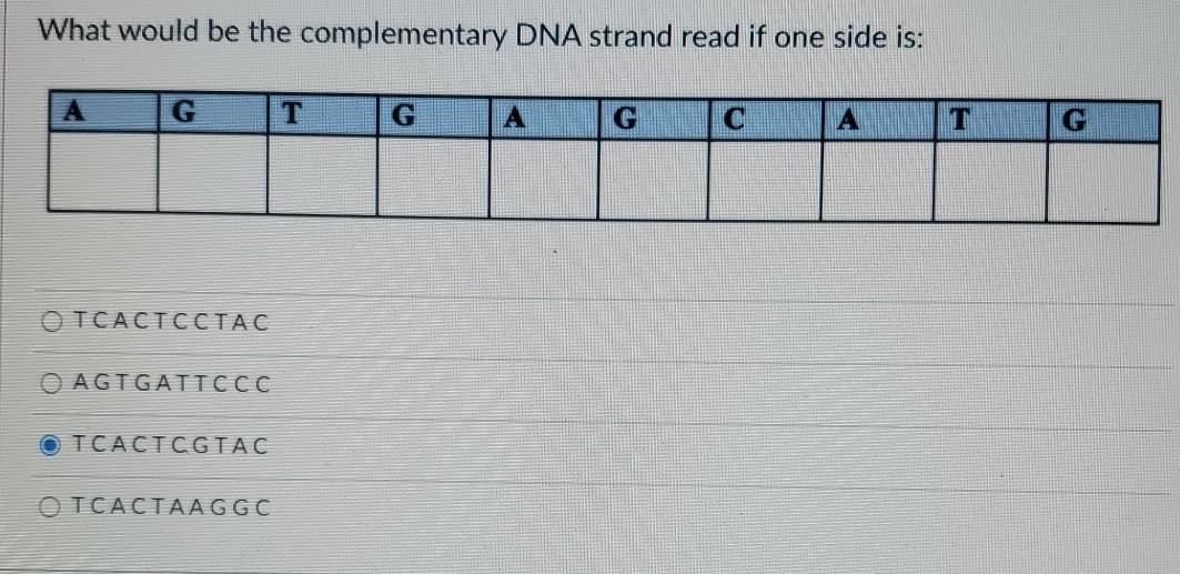 Solved What would be the complementary DNA strand read if | Chegg.com