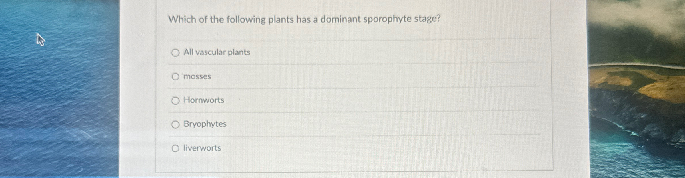 Solved Which of the following plants has a dominant | Chegg.com
