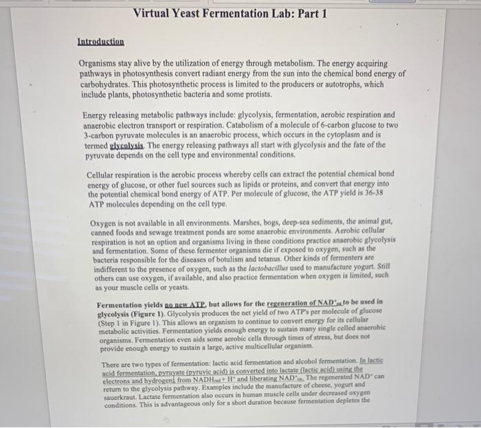 Solved Virtual Yeast Fermentation Lab: Part 1 Introduction | Chegg.com