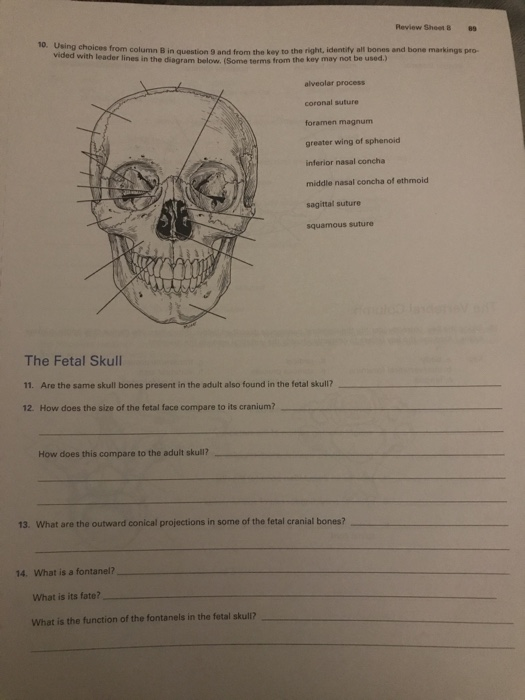 Review Shot 89 10. Using choices from column B in | Chegg.com