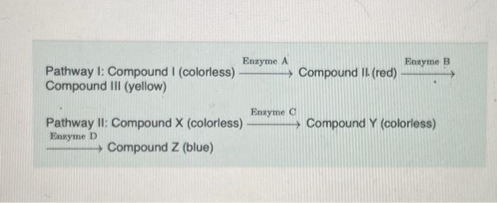 Solved Pathway I: Compound I (colorless) Compound III | Chegg.com