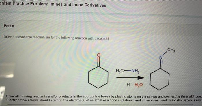 Solved anism Practice Problem: Imines and Imine Derivatives | Chegg.com