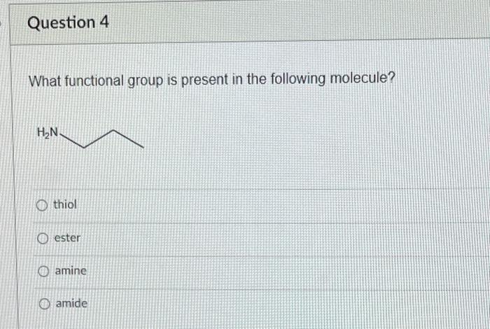 Solved What functional group is present in the following | Chegg.com