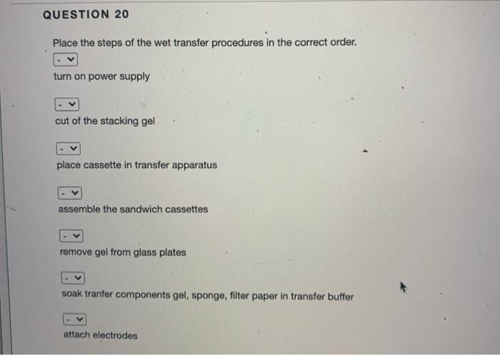 Solved QUESTION 20 Place the steps of the wet transfer | Chegg.com