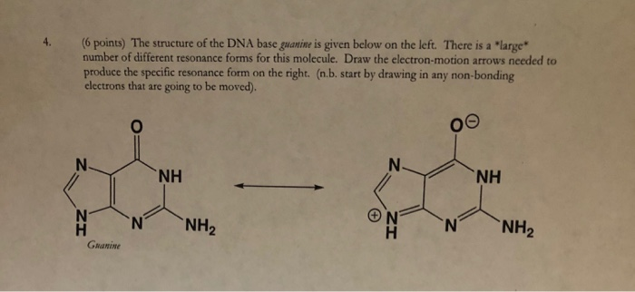 Solved (6 points) The structure of the DNA base guanine is | Chegg.com