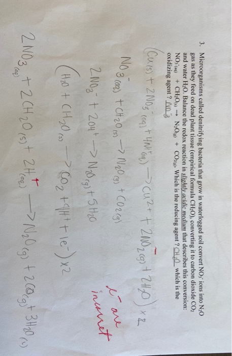 Solved 3. Microorganisms called denitrifying bacteria that | Chegg.com