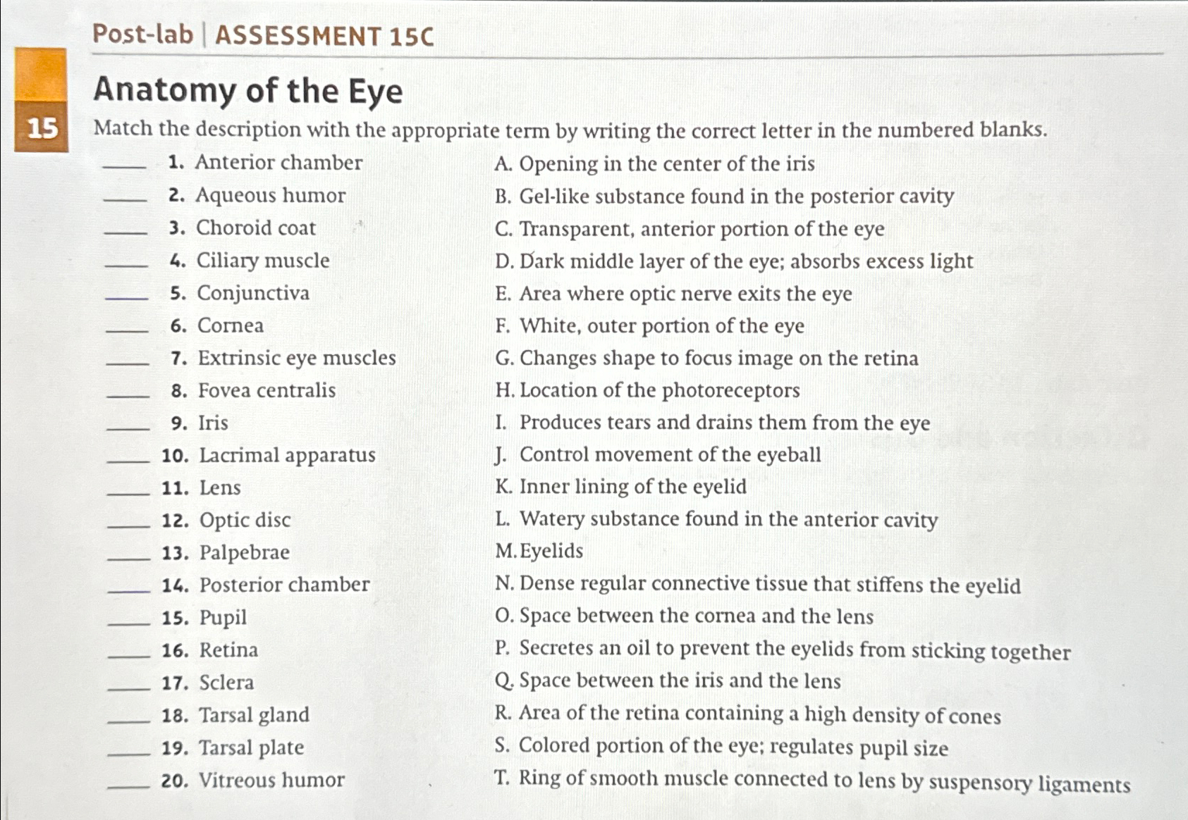 Solved Post-lab | ﻿ASSESSMENT 15CAnatomy of the EyeMatch the | Chegg.com