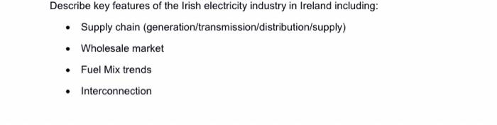Solved Describe key features of the Irish electricity | Chegg.com