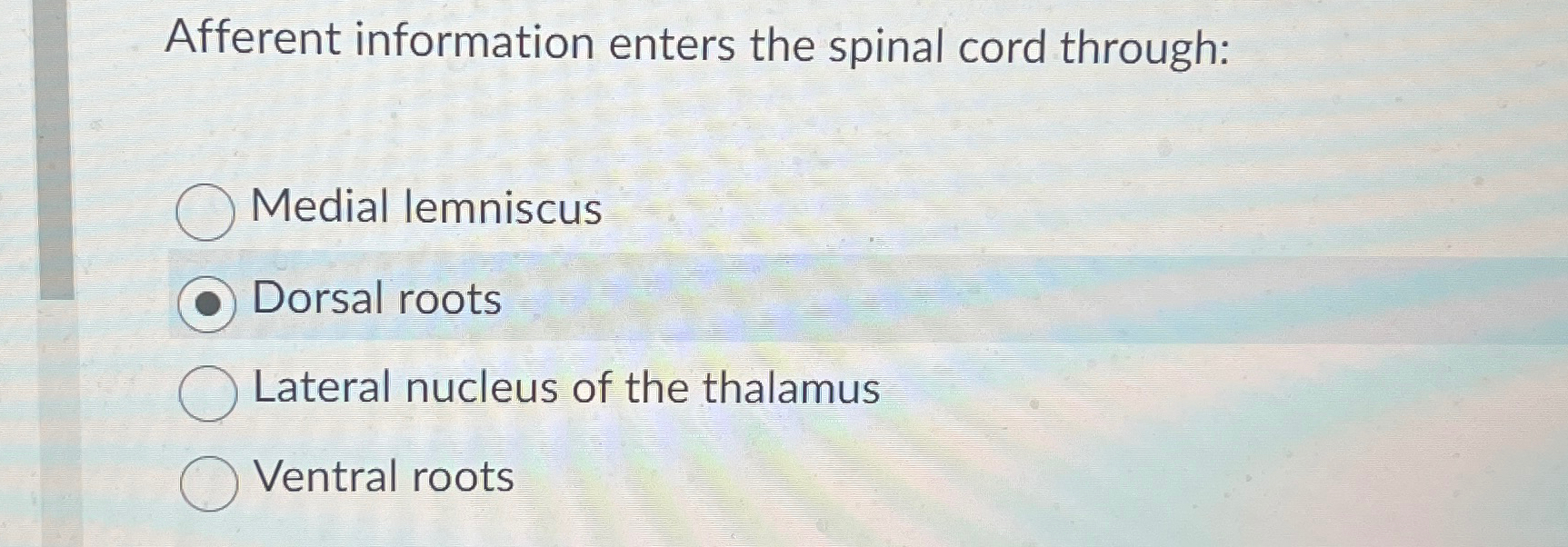 Solved Afferent information enters the spinal cord | Chegg.com