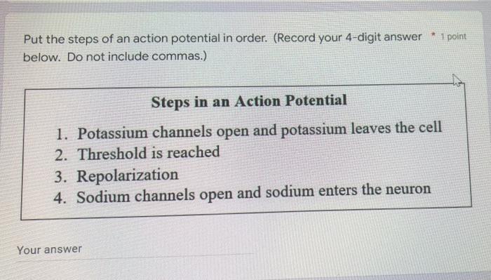 Solved * 1 point Put the steps of an action potential in | Chegg.com