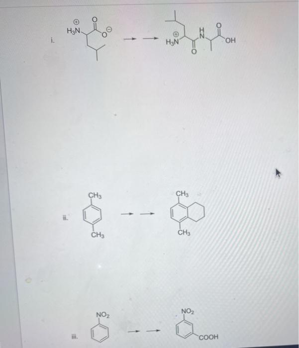 Solved H3N H2N OH CH3 CH3 CHS CH3 NO2 NO2 COOH | Chegg.com