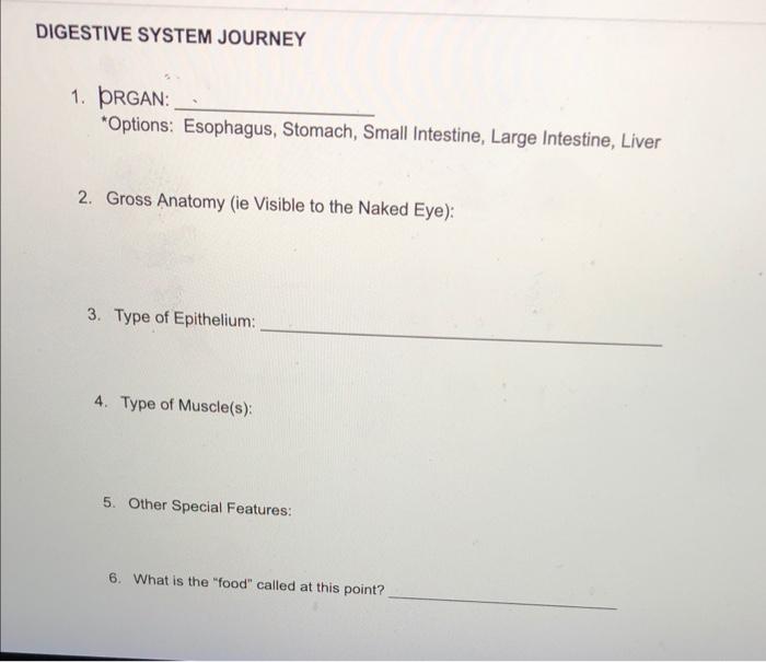 Solved DIGESTIVE SYSTEM JOURNEY 1. ÞRGAN: *Options: | Chegg.com