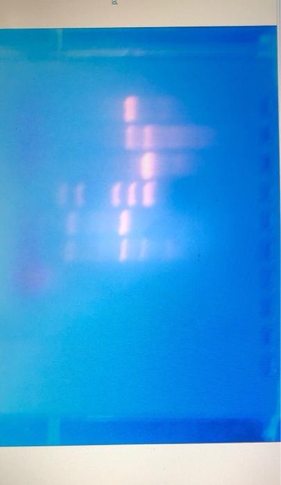 a. Annotated gel: Download the image of the gel you | Chegg.com