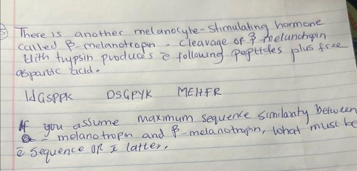 Solved There is another melanocyte-stimulating hormone | Chegg.com