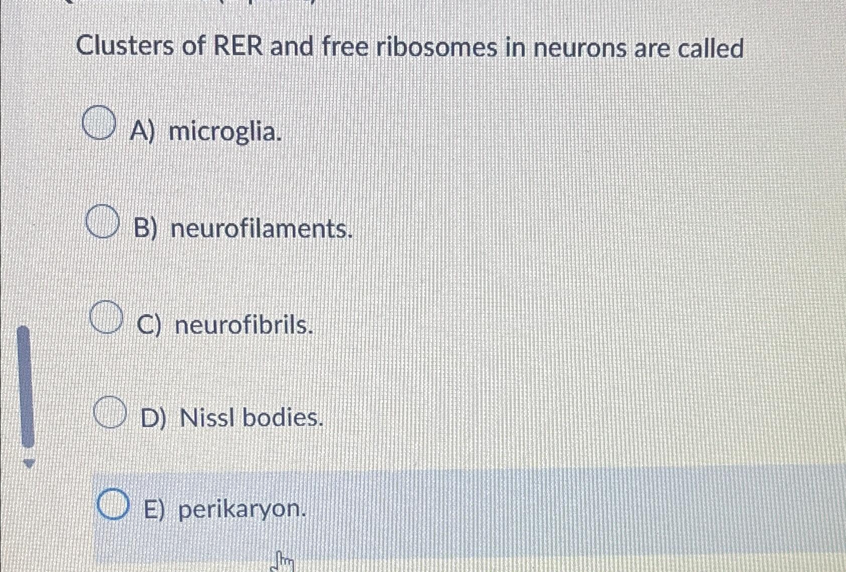 Solved Clusters of RER and free ribosomes in neurons are | Chegg.com