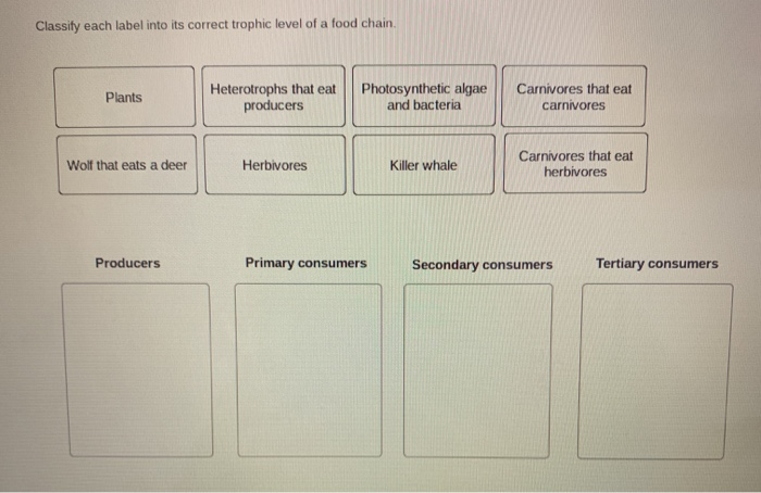 Solved Classify each label into its correct trophic level of | Chegg.com