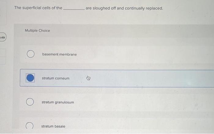 Solved The superficial cells of the are sloughed off and | Chegg.com