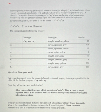 Solved 2b)In Drosophila curved-wing patten (c) ﻿is recessive | Chegg.com