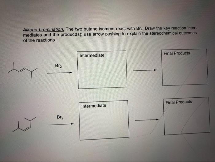 Solved Alkene bromination. The two butane isomers react with | Chegg.com