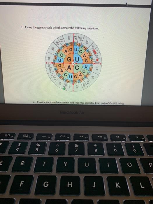 Solved 8. Using the genetic code wheel, answer the following | Chegg.com
