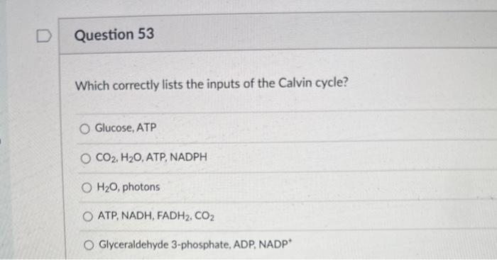 Solved Which correctly lists the inputs of the Calvin cycle? | Chegg.com