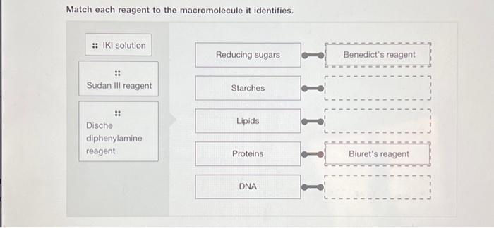 Solved Match each reagent to the macromolecule it | Chegg.com